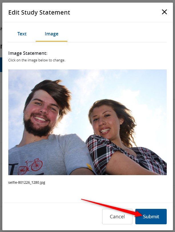 How to Edit Items in Your Q-Sort Concourse | Q Method Software