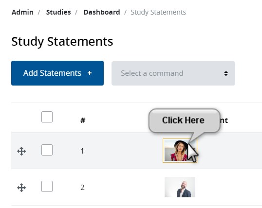How to Edit Items in Your Q-Sort Concourse | Q Method Software